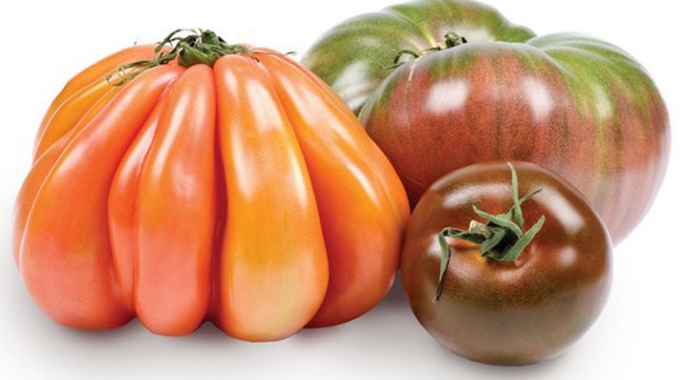 Strange Shapes and Unusual Colors: A New Variety of Organic Tomatoes ...